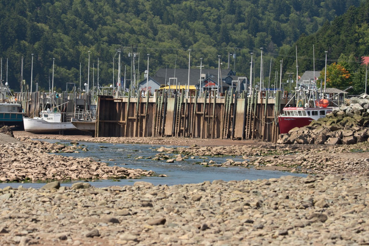 About Us – Timber & Tides